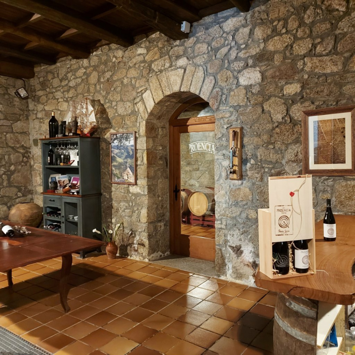 Ribeira Sacra | Bodega Proencia