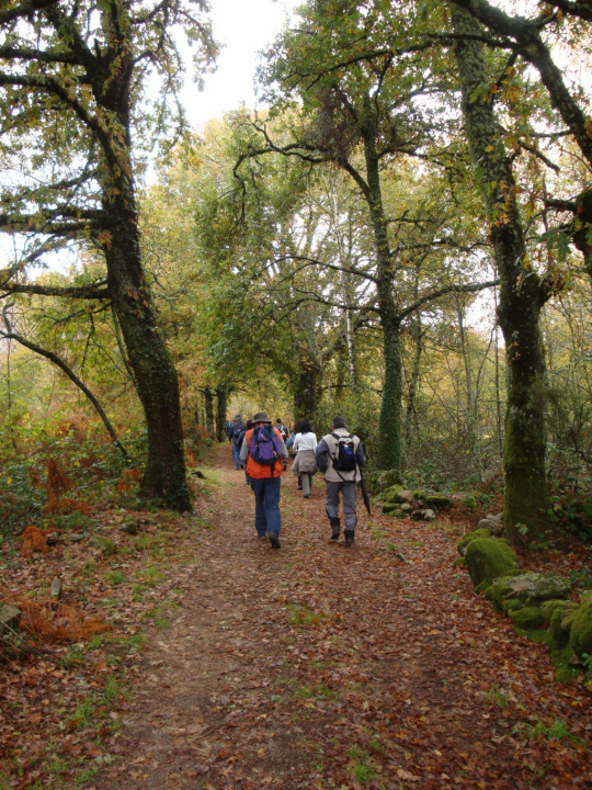 Ribeira Sacra | Ambulare