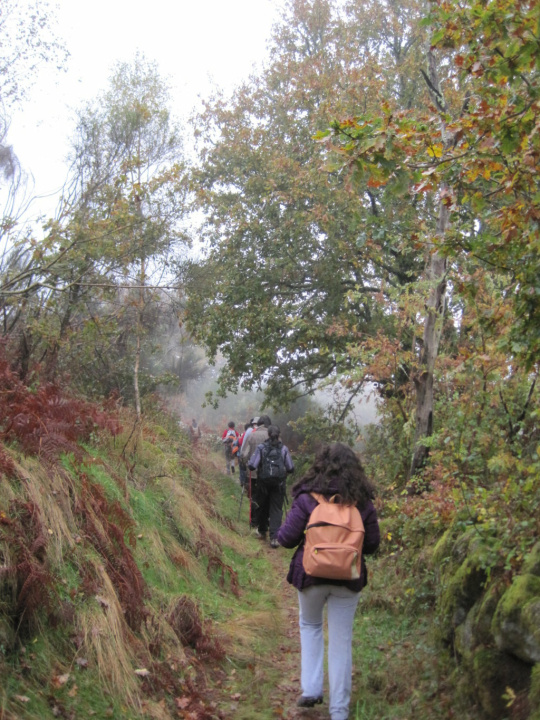 Ribeira Sacra | Ambulare