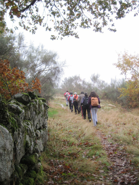 Ribeira Sacra | Ambulare