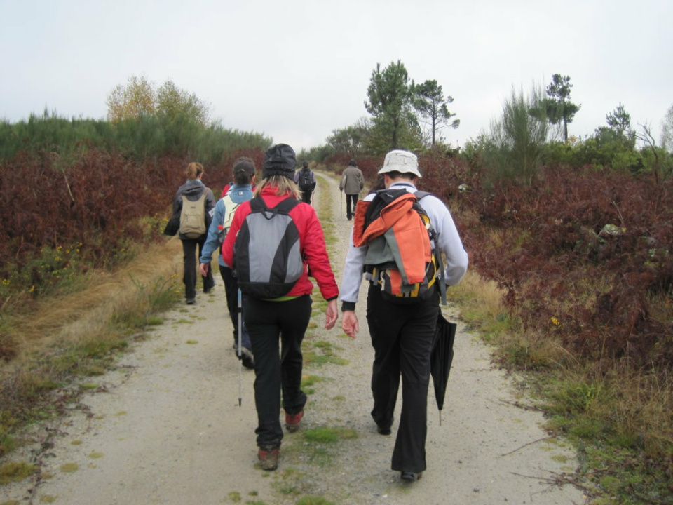 Ribeira Sacra | Ambulare