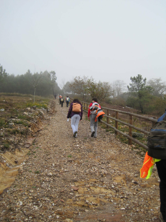 Ribeira Sacra | Ambulare