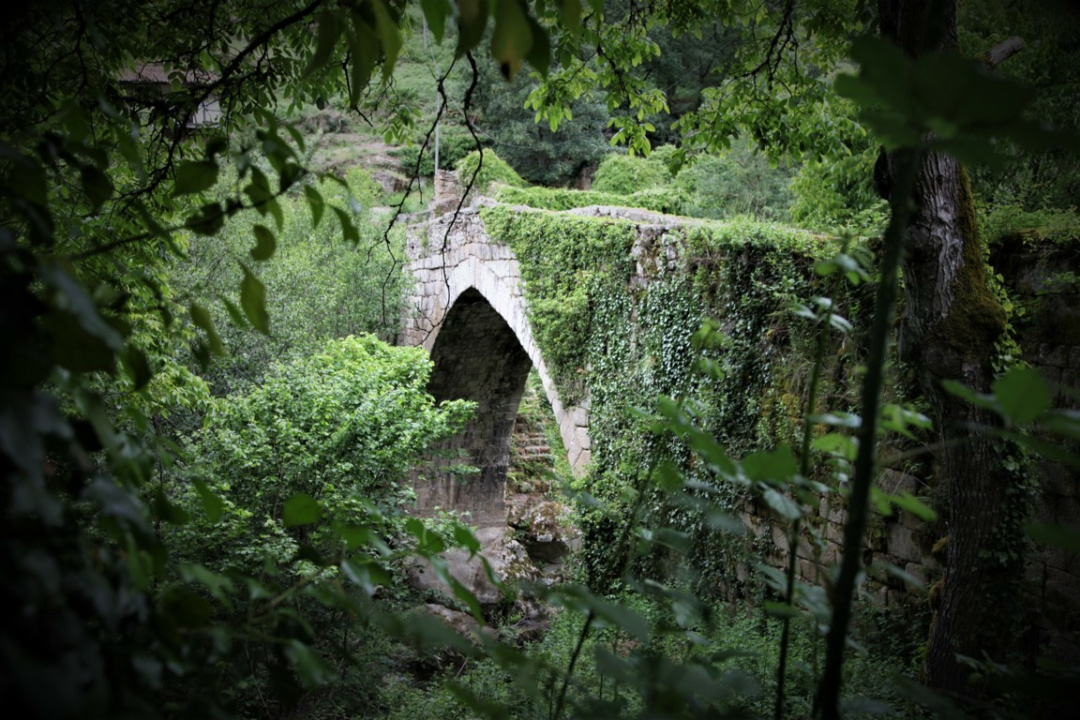 Ribeira Sacra | Puente Navea