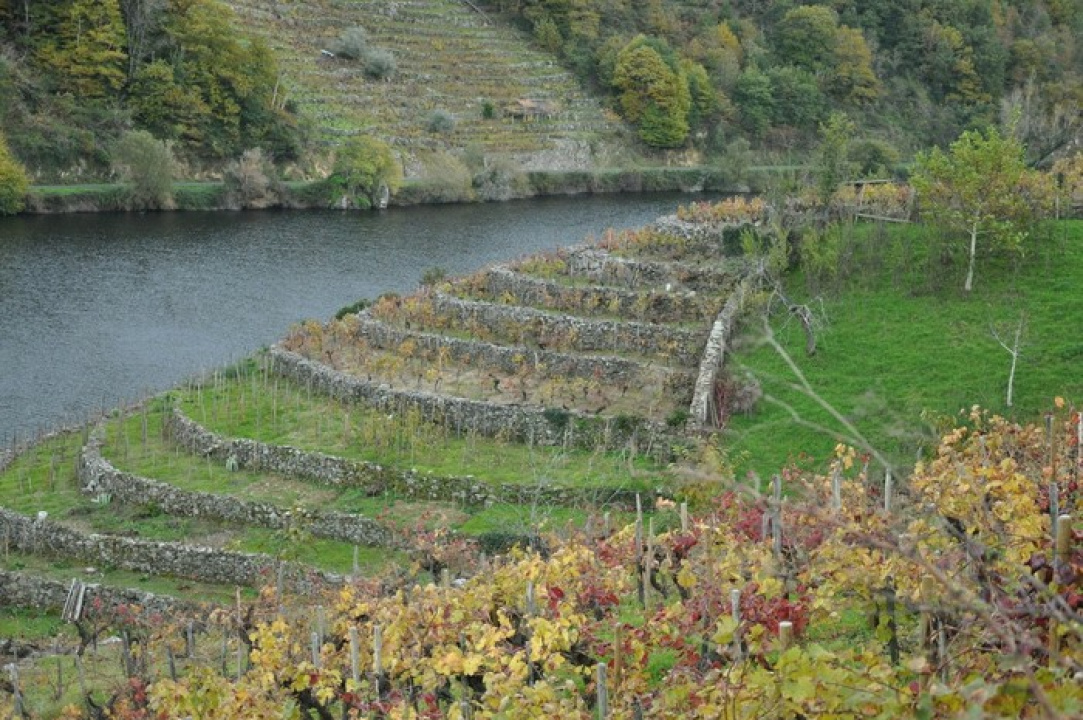 Ribeira Sacra | PR-G 183 Ruta de los viñedos de Belesar