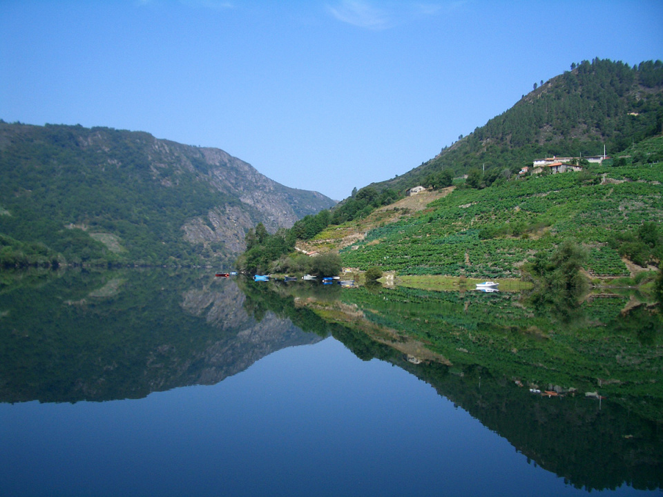 Ribeira Sacra | Cañón del Sil