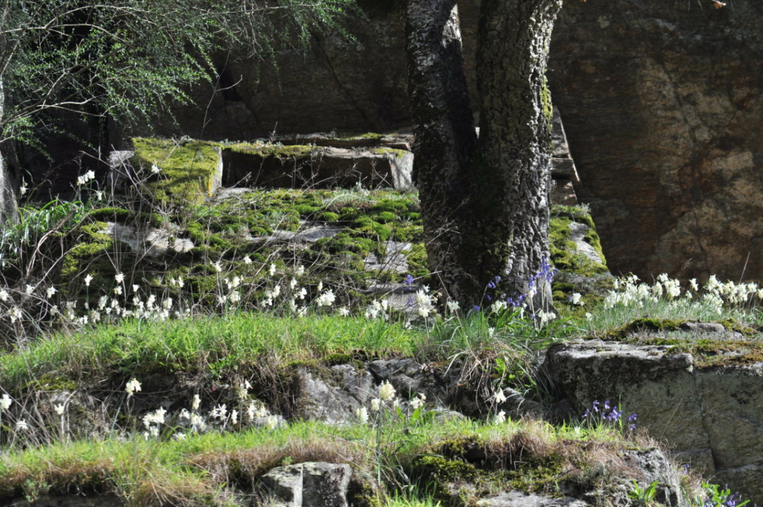 Ribeira Sacra | Penedo do Garabullo y Cascada de Fondós