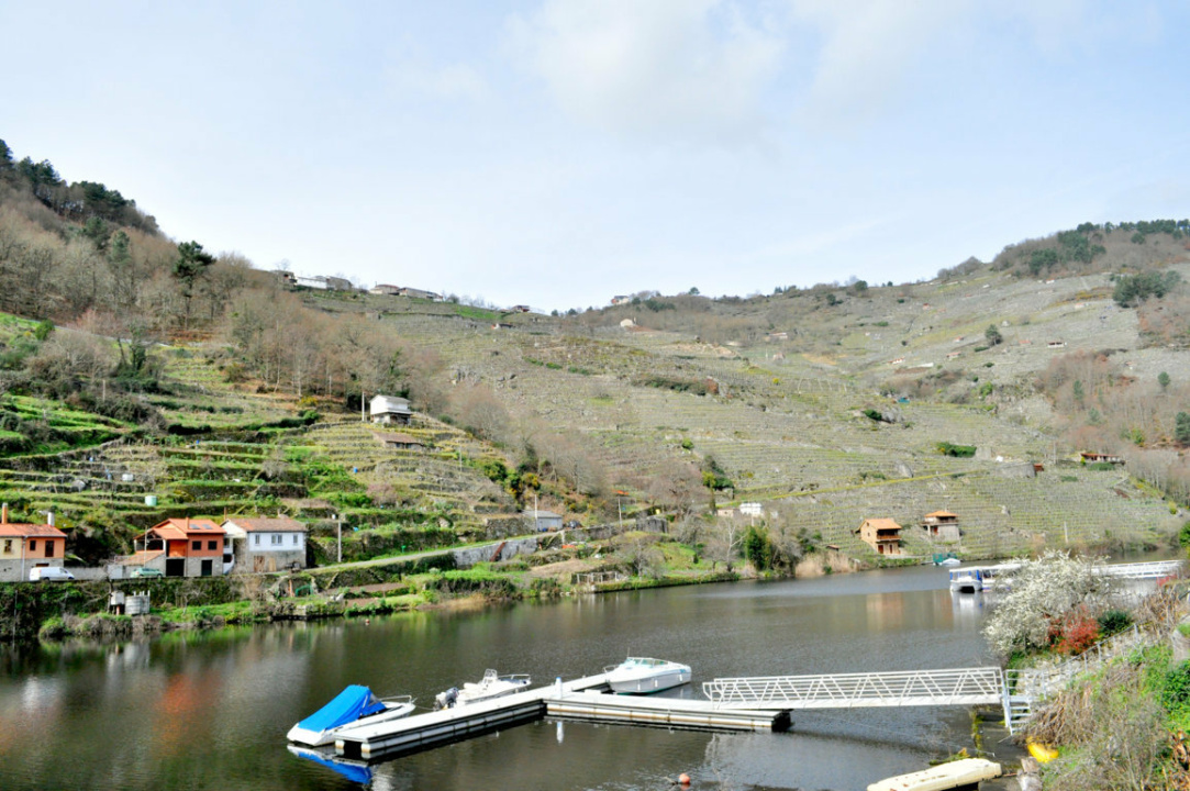 Ribeira Sacra | Aldea de Belesar