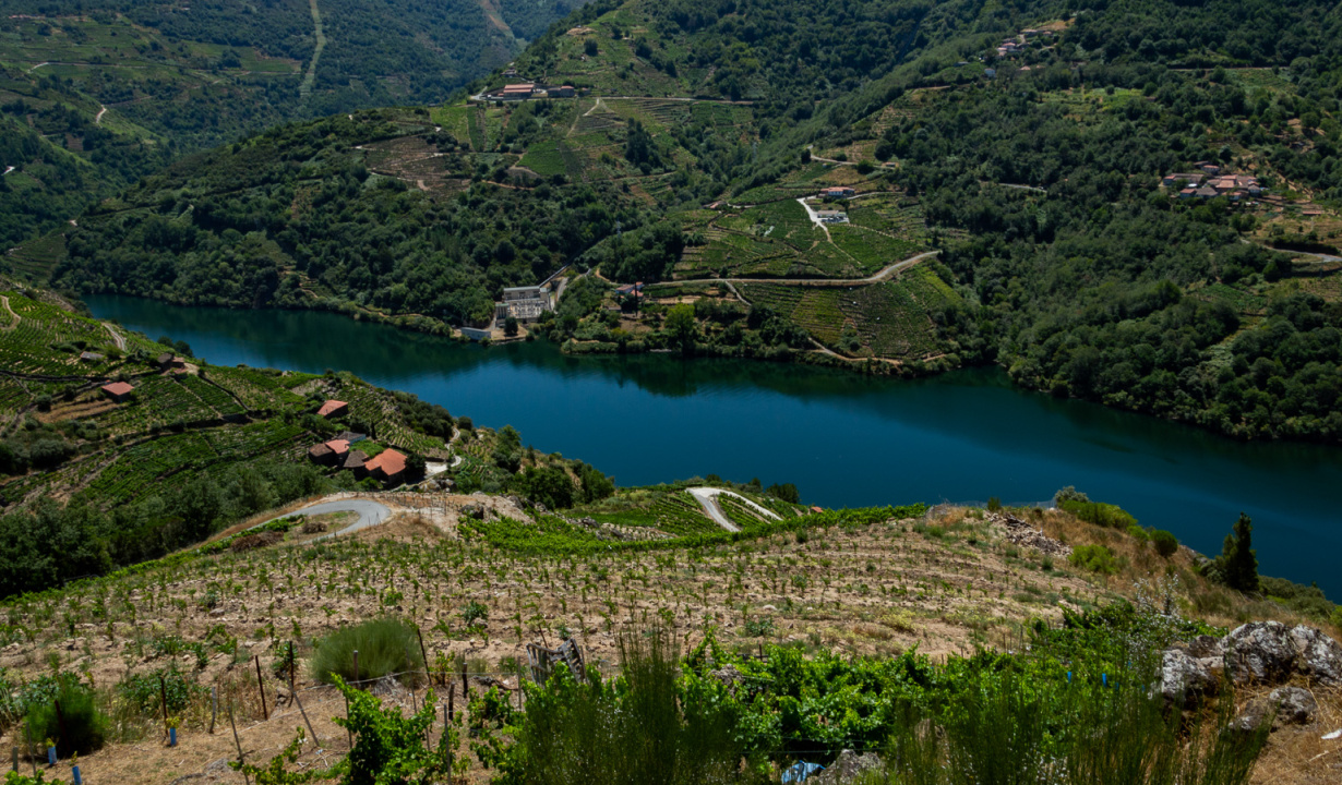 Ribeira Sacra | Mirador de Amandi